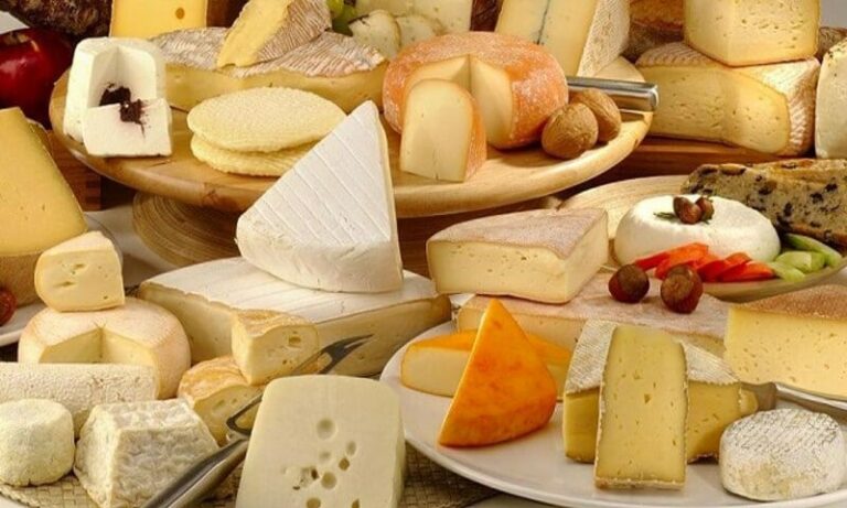 Quels sont les variétés de fromages en France ? - Hôtel restaurant le ...